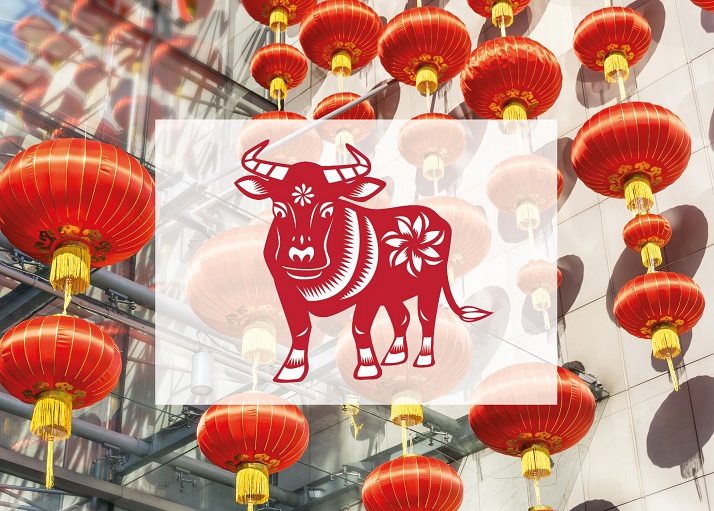 Chinese New Year 2021